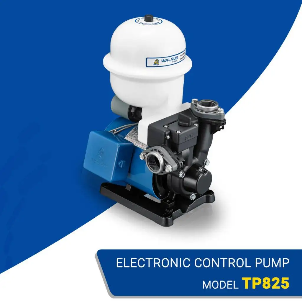 จำหน่าย บูสเตอร์ปั๊ม TP825PB ปั๊มน้ำแรงดันสูง คุณภาพเยี่ยม - Walrus pump