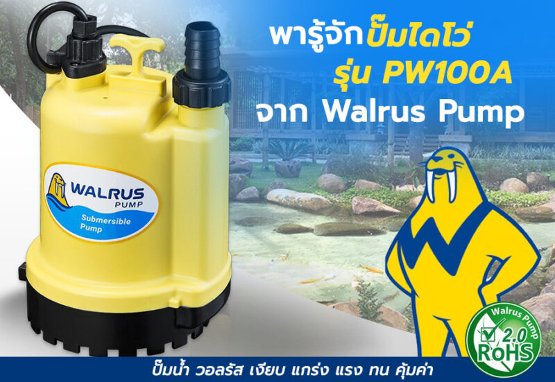 พารู้จัก ปั๊มไดโว่ รุ่น PW100A ปั๊มไดโว่ที่ตอบโจทย์ทุกการใช้งานจาก Walrus Pump