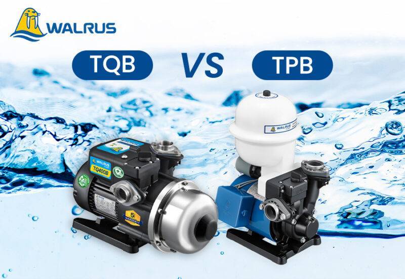 เปรียบเทียบ ปั๊มน้ำรุ่น TQB กับ TPB ต่างกันอย่างไร