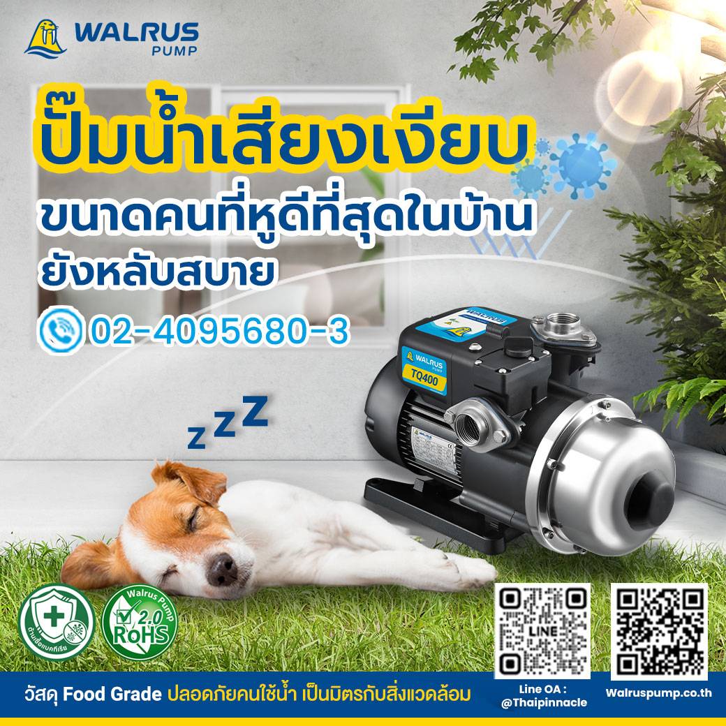 ปั๊มน้ำบ้านทำไมต้องใช้ walrus pump