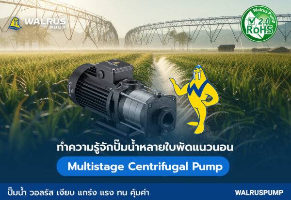 ปั๊มจุ่มมีลักษณะแบบไหนและใช้งานอย่างไร